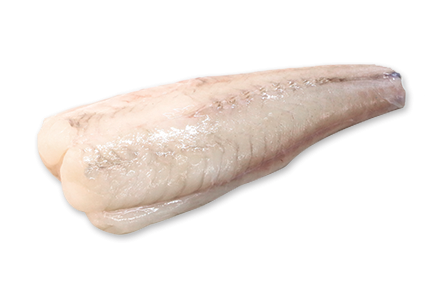 MONK FISH – Tunacor Fisheries